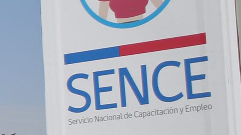 ¿cuáles Son Los Requisitos Para Los Cursos De Conducción Gratuitos Del