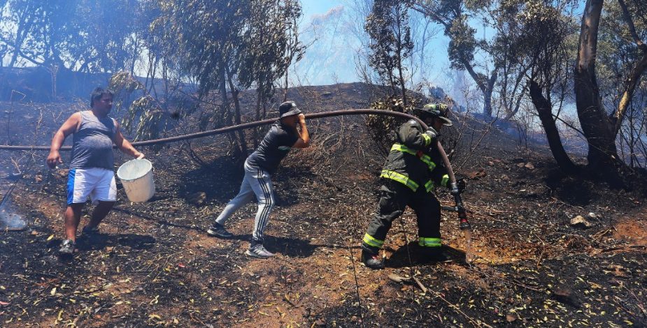 Onemi Informa Alerta Roja Por Incendios Para La Comuna De San Pedro
