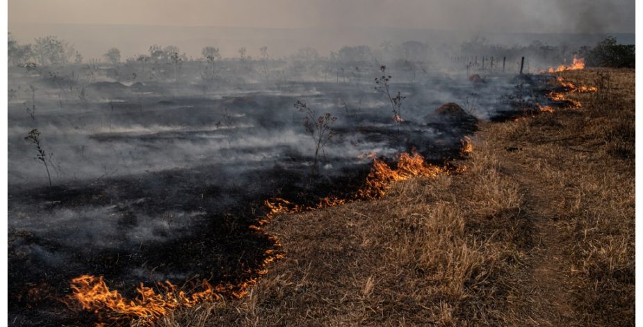Onemi Evacúa Sectores De Santa Juana Y Nacimiento Por Incendio Forestal